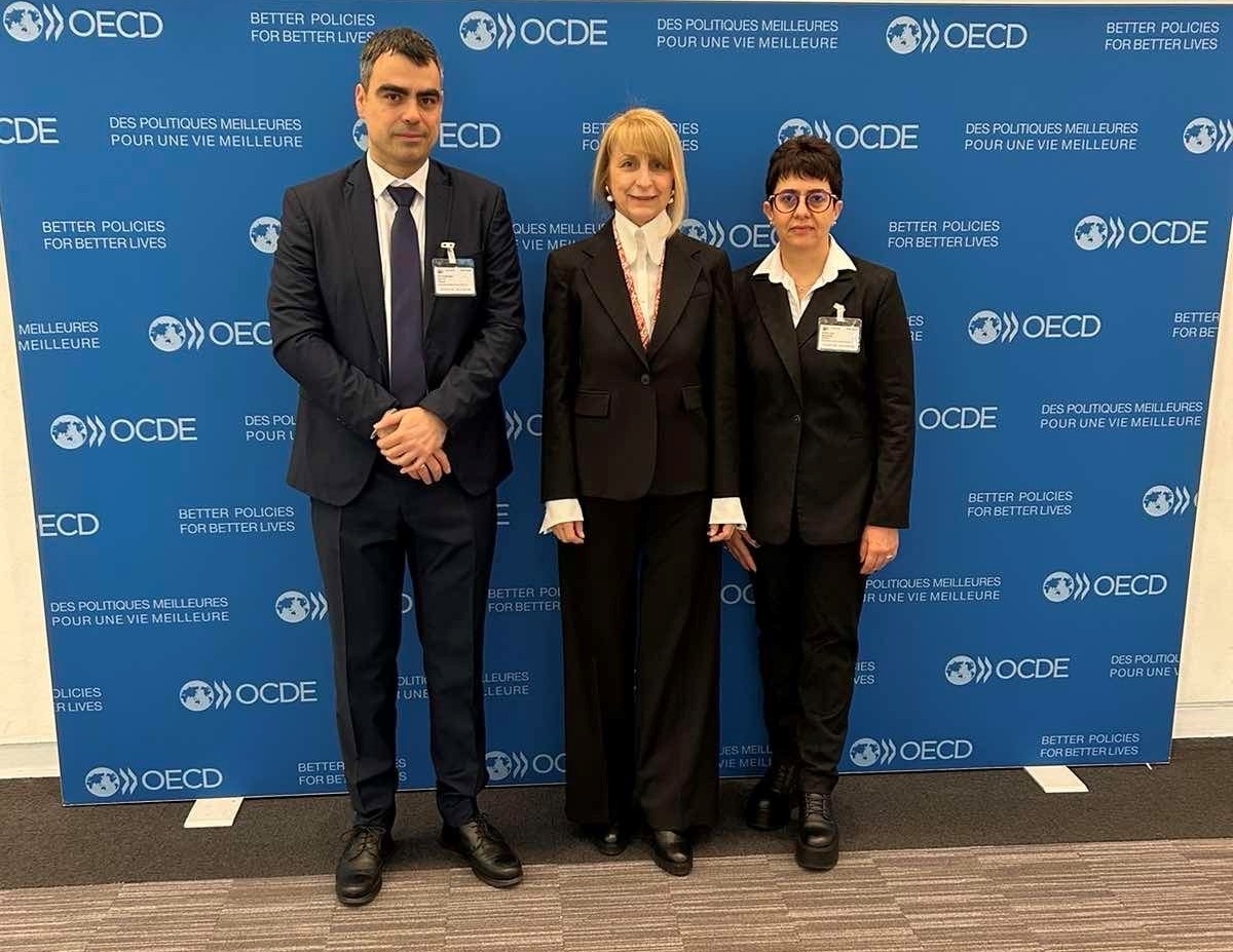 OECD Supreme Audit Institutions: sustainability of public finances and ...